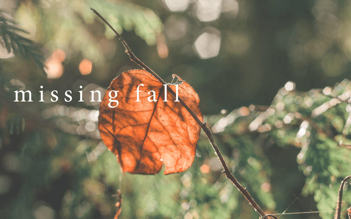 missing fall – hannah allen blog